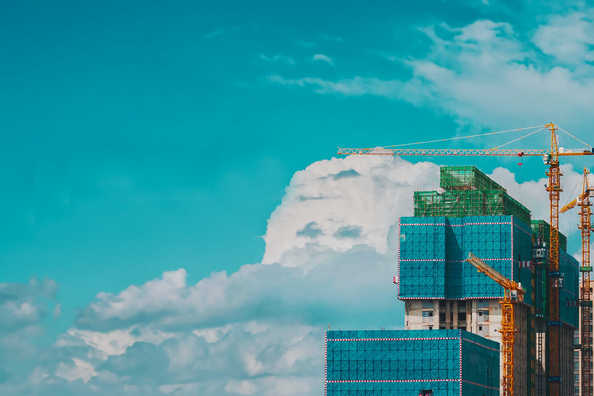 Home | TEAM Labour Solutions